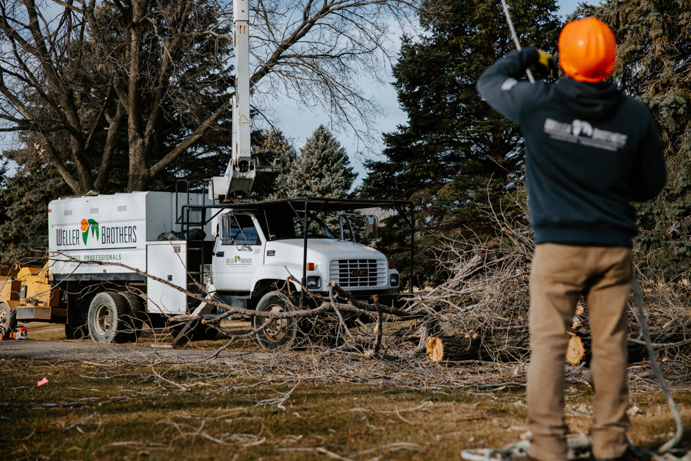 Sioux Falls Project TRIM Tree Removal - Weller Brothers